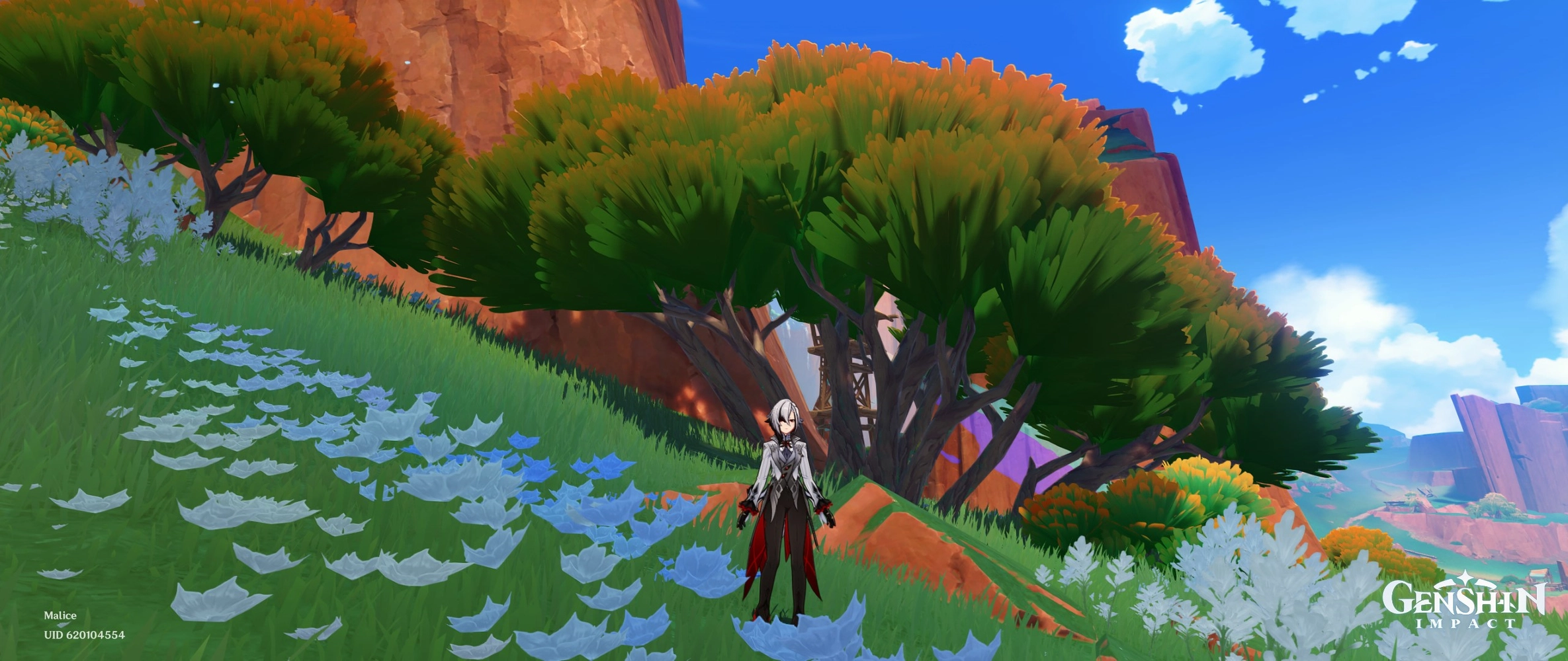 TEAPOT MAINS: Where to find the new Natlan wood Genshin Impact | HoYoLAB