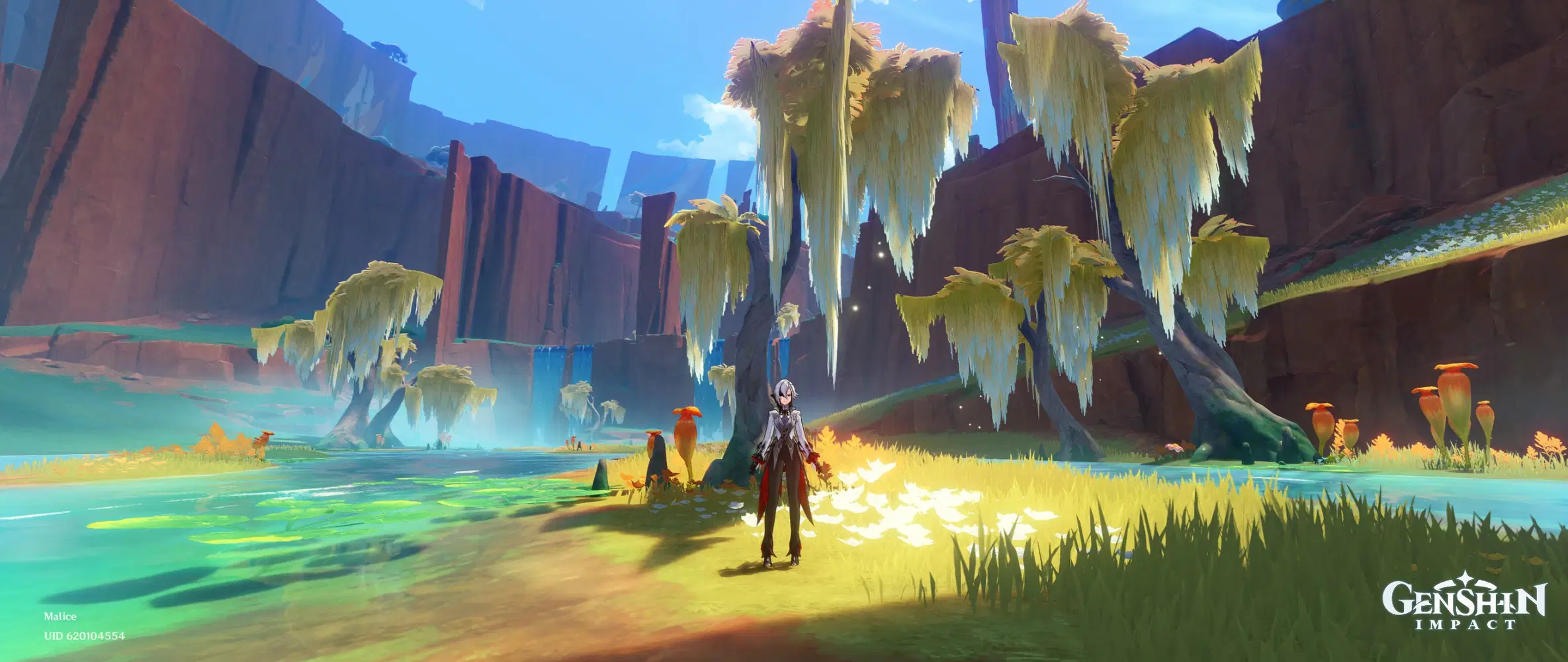 TEAPOT MAINS: Where to find the new Natlan wood Genshin Impact | HoYoLAB