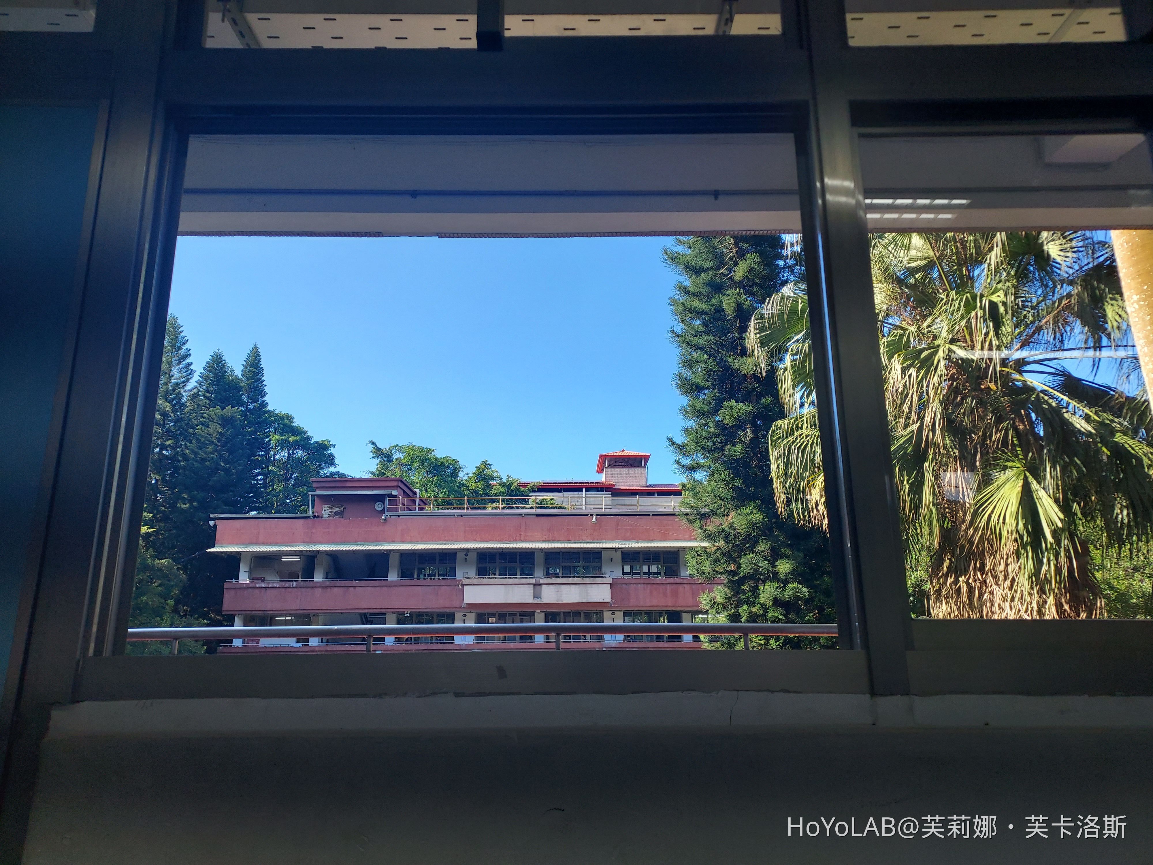 不是哥們，才開學第一周欸 | HoYoLAB