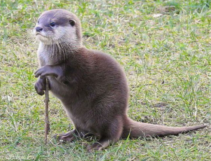 GUYS I FOUND THE REAL LIFE NEUVILLETTE! ( neuviotter