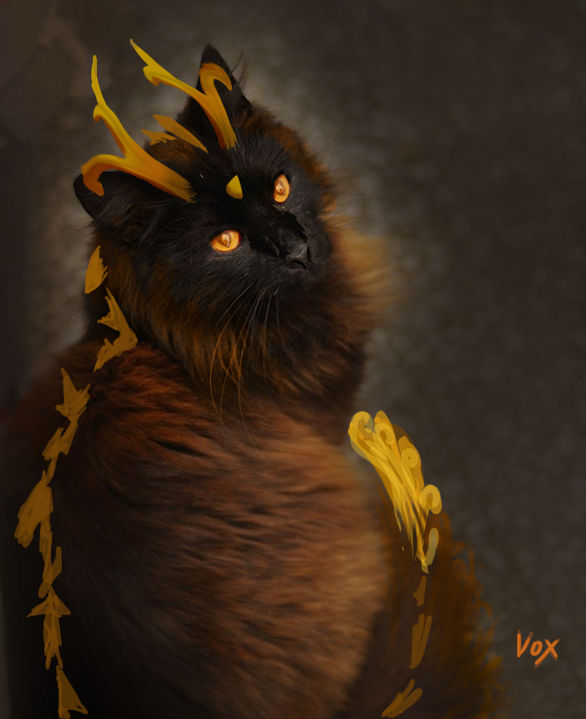 Exuvia Cat! Genshin Impact | HoYoLAB