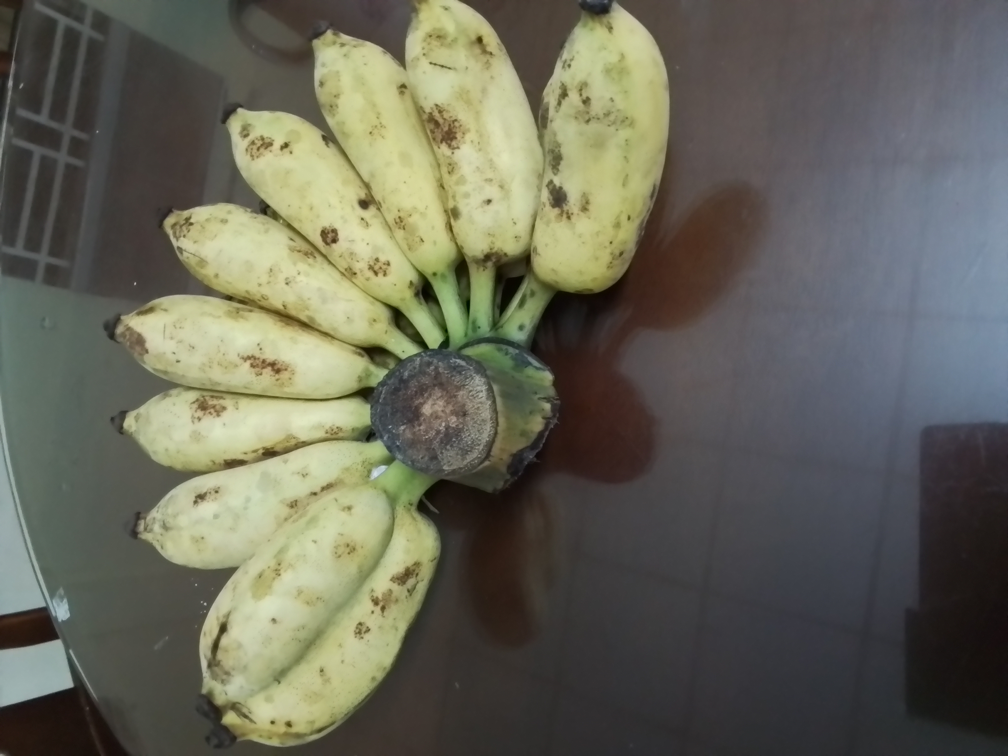 /gasp/double banana?!(」゜ロ゜)」 | HoYoLAB