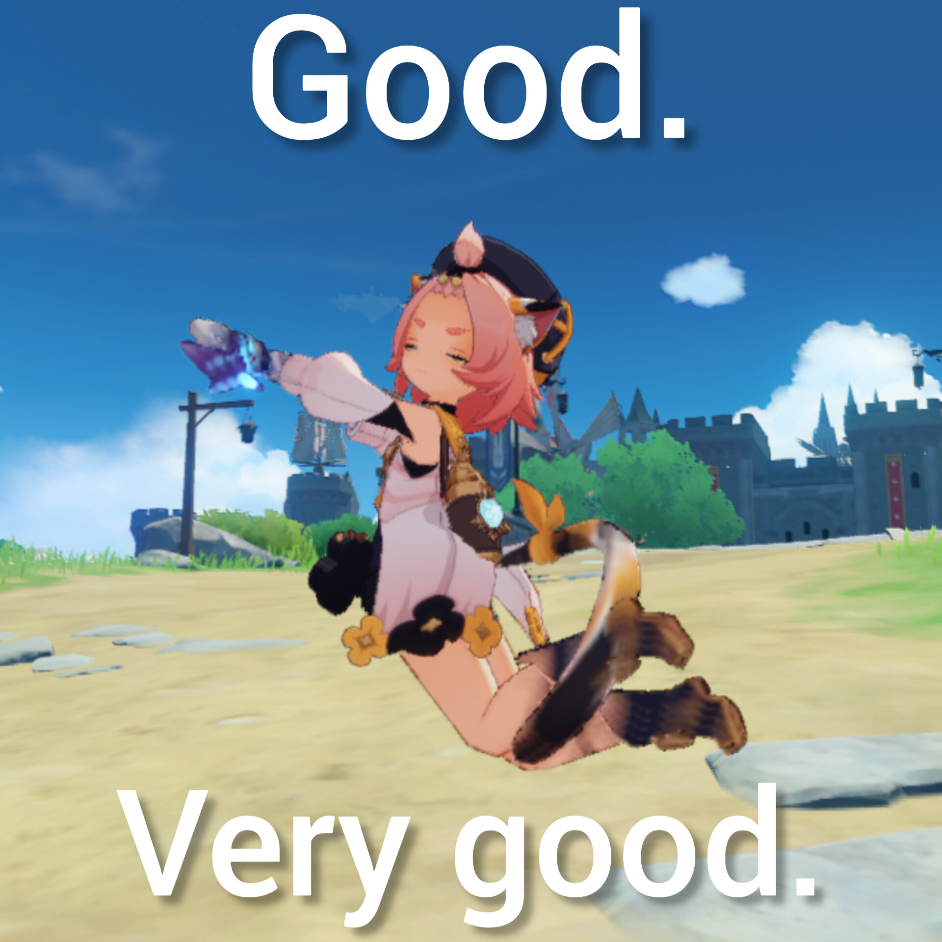 Diona ️🐱🍾 - Memes Genshin Impact | HoYoLAB