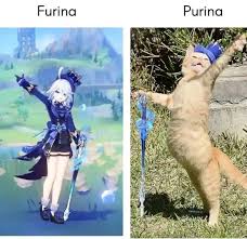Furina as purina Genshin Impact | HoYoLAB