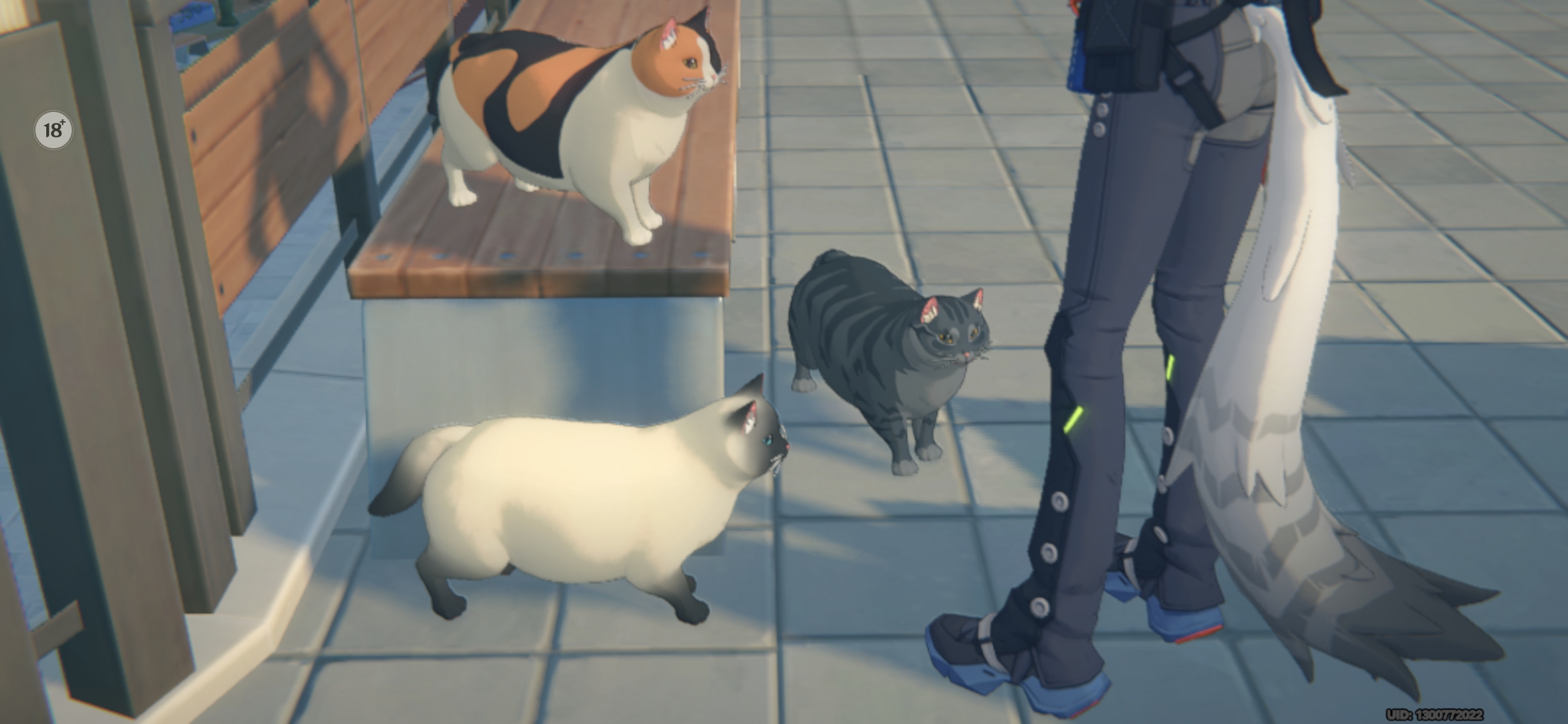 Those are some THICKKK cats Zenless Zone Zero | HoYoLAB