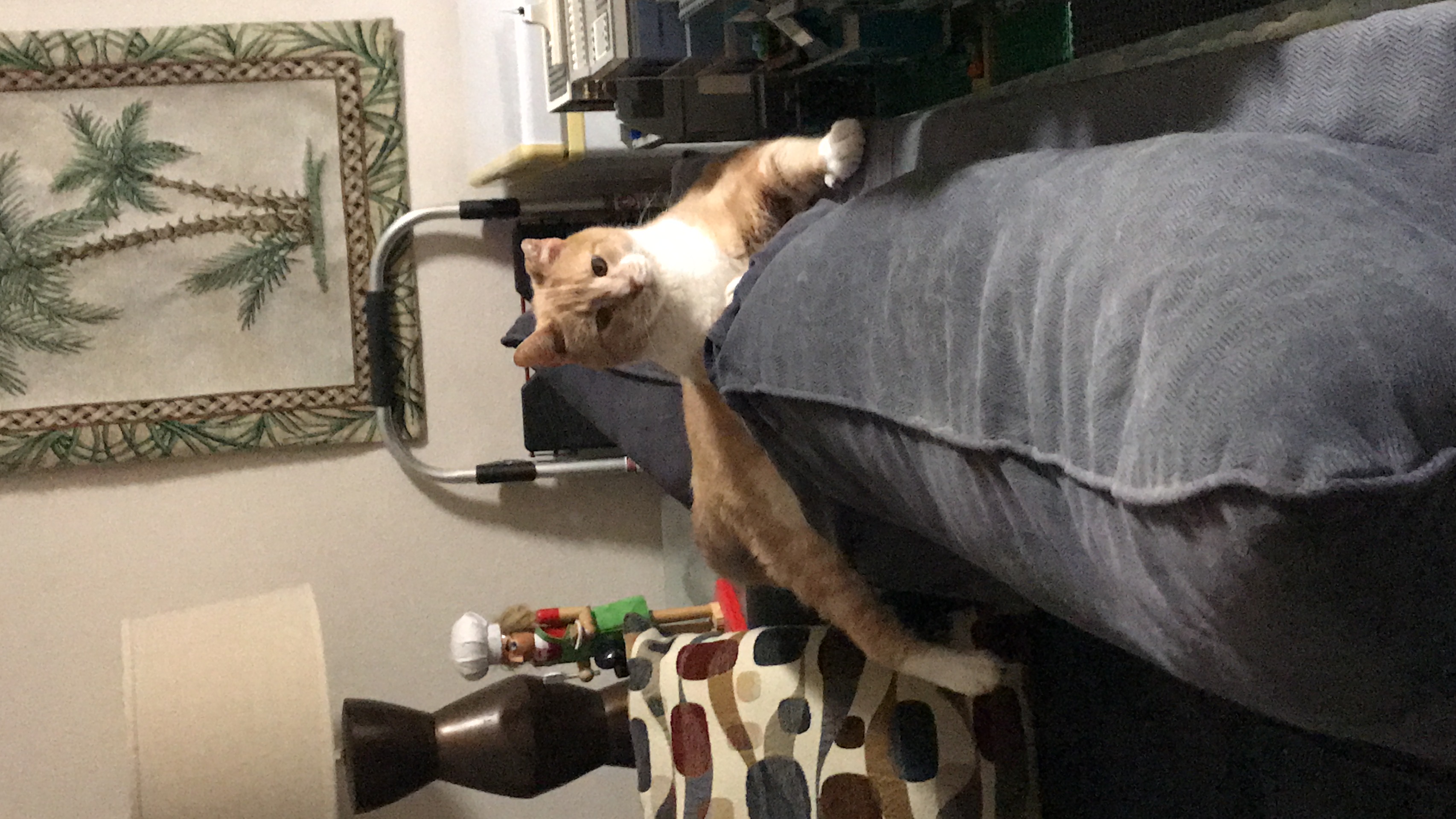 Winston is very happy boy tonight 🥰😂 | HoYoLAB