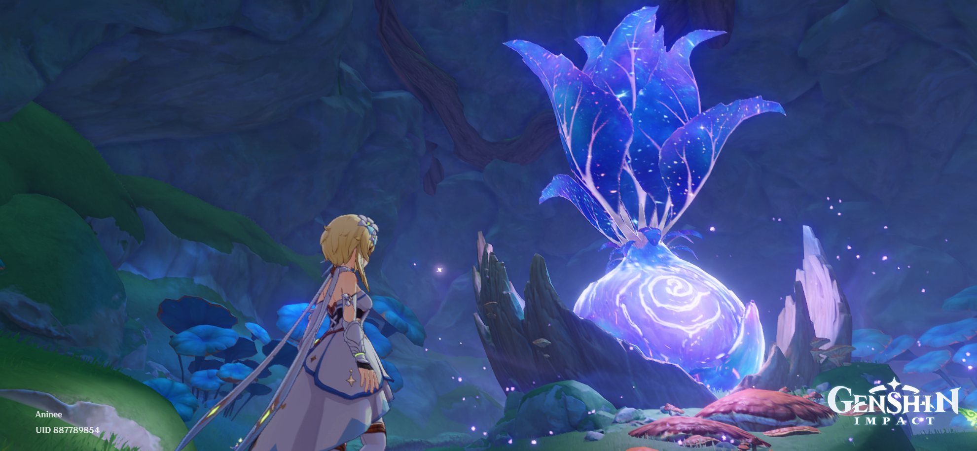 Tree of Dreams, Vanarana Genshin Impact | HoYoLAB