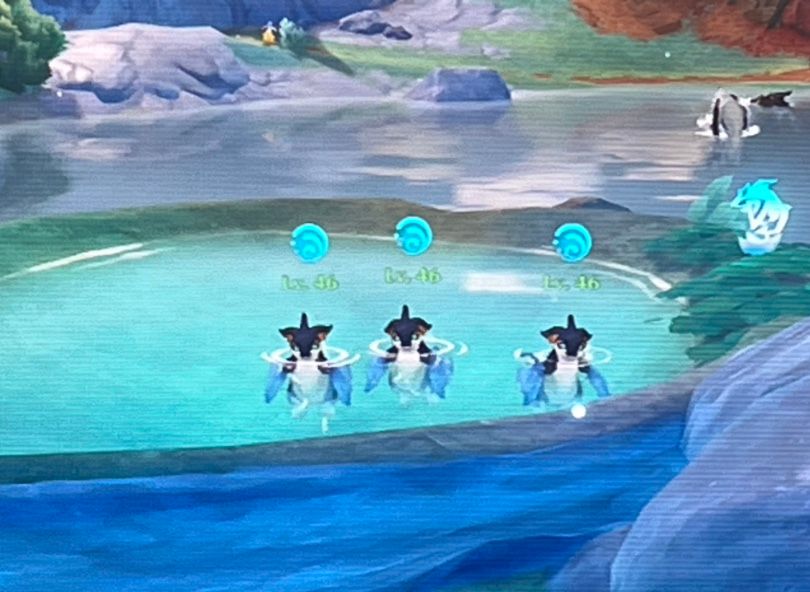 Some Koholasaur whelps to start your weekend! Genshin Impact | HoYoLAB