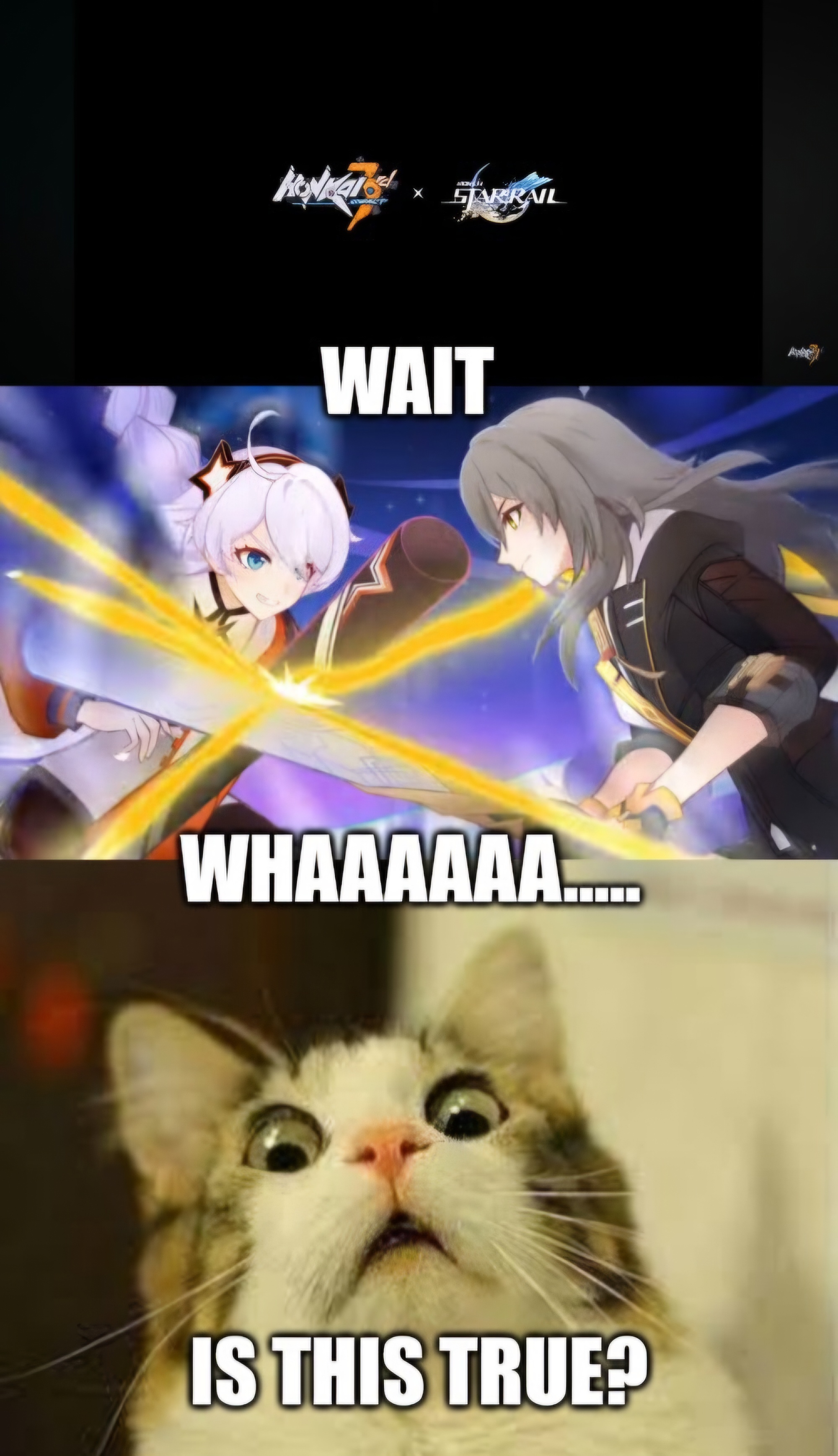 HI3 and HSR Collab? Honkai: Star Rail | HoYoLAB