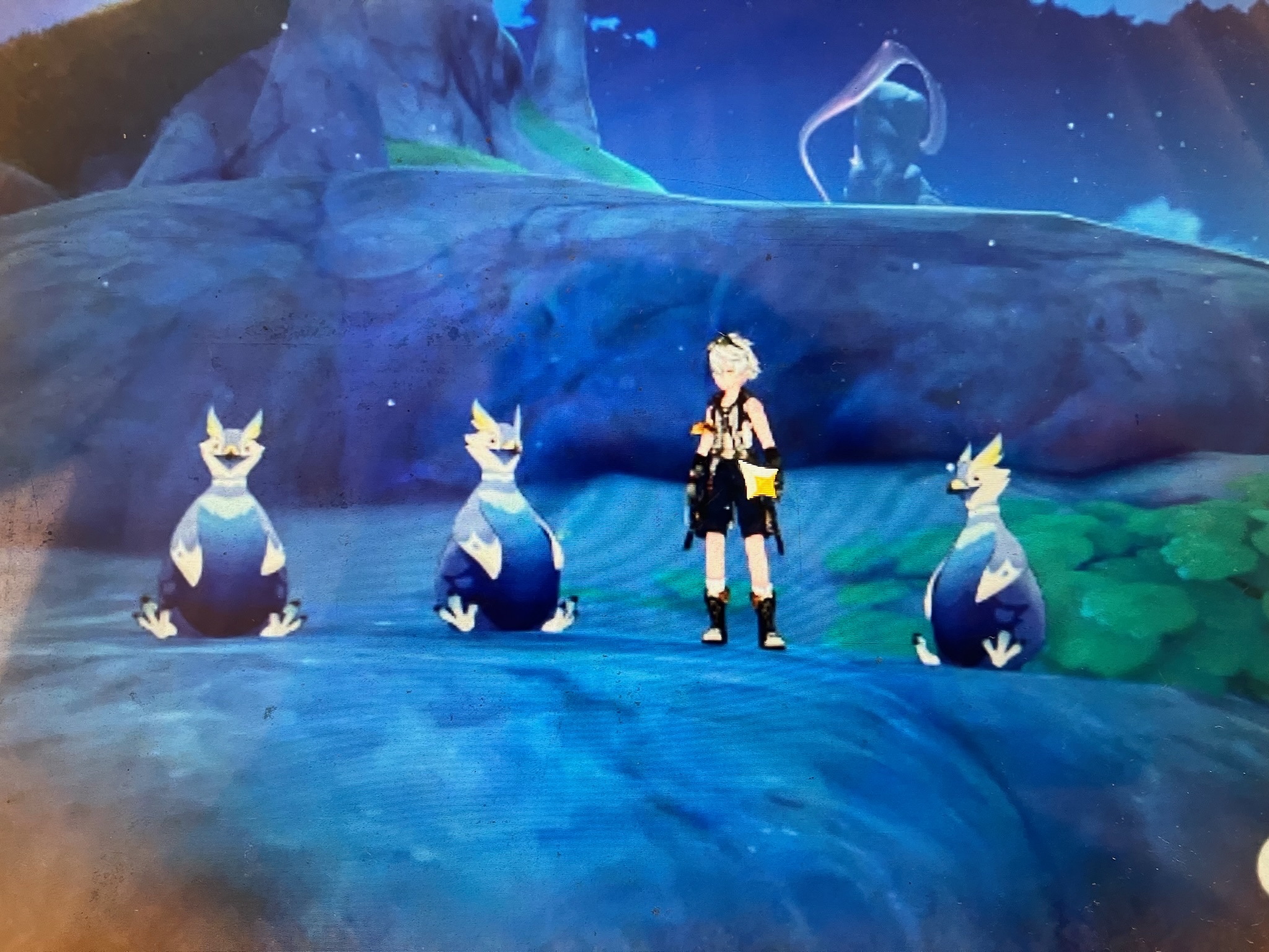 Thought it was Neuvillette bird instead otter Genshin Impact | HoYoLAB