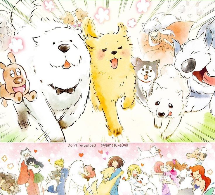 Cachorros diversos animes e filmes | HoYoLAB