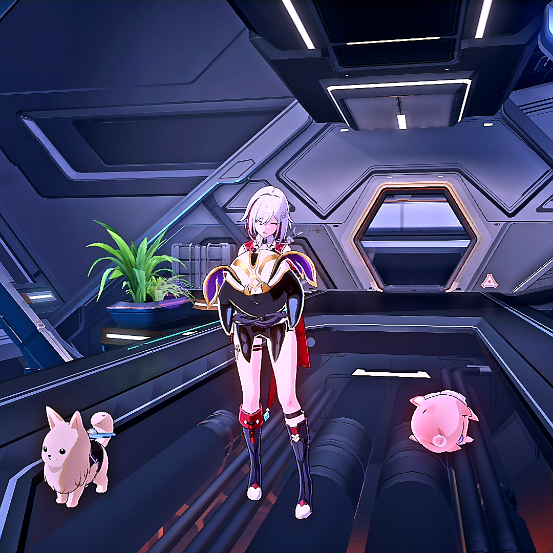 More Pet Pleasee Honkai: Star Rail | HoYoLAB