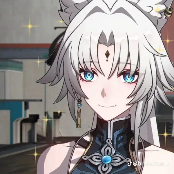 E1 FEIXIAO E0 ROBIN Honkai: Star Rail | HoYoLAB