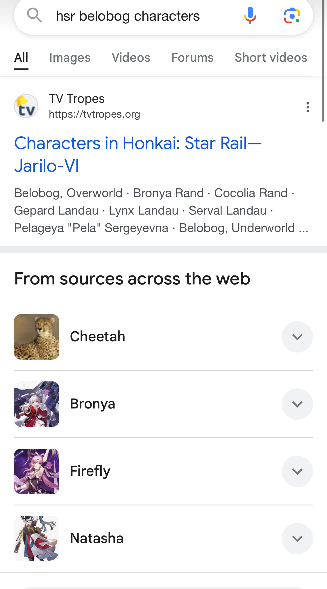 My favorite character is Cheetah Honkai: Star Rail | HoYoLAB