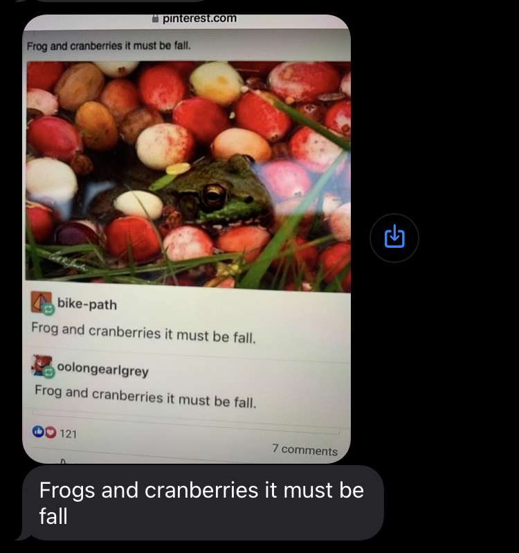 Frogs and cranberries it must be fall | HoYoLAB