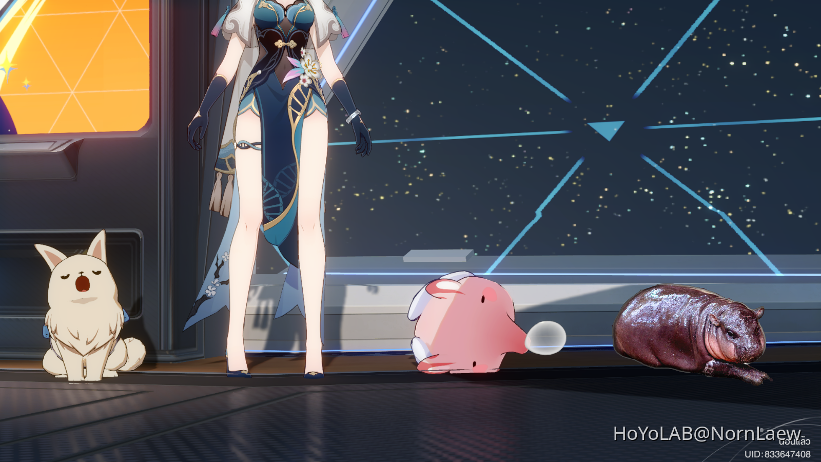 New pet in Honkai Star Rail :3 Honkai: Star Rail | HoYoLAB