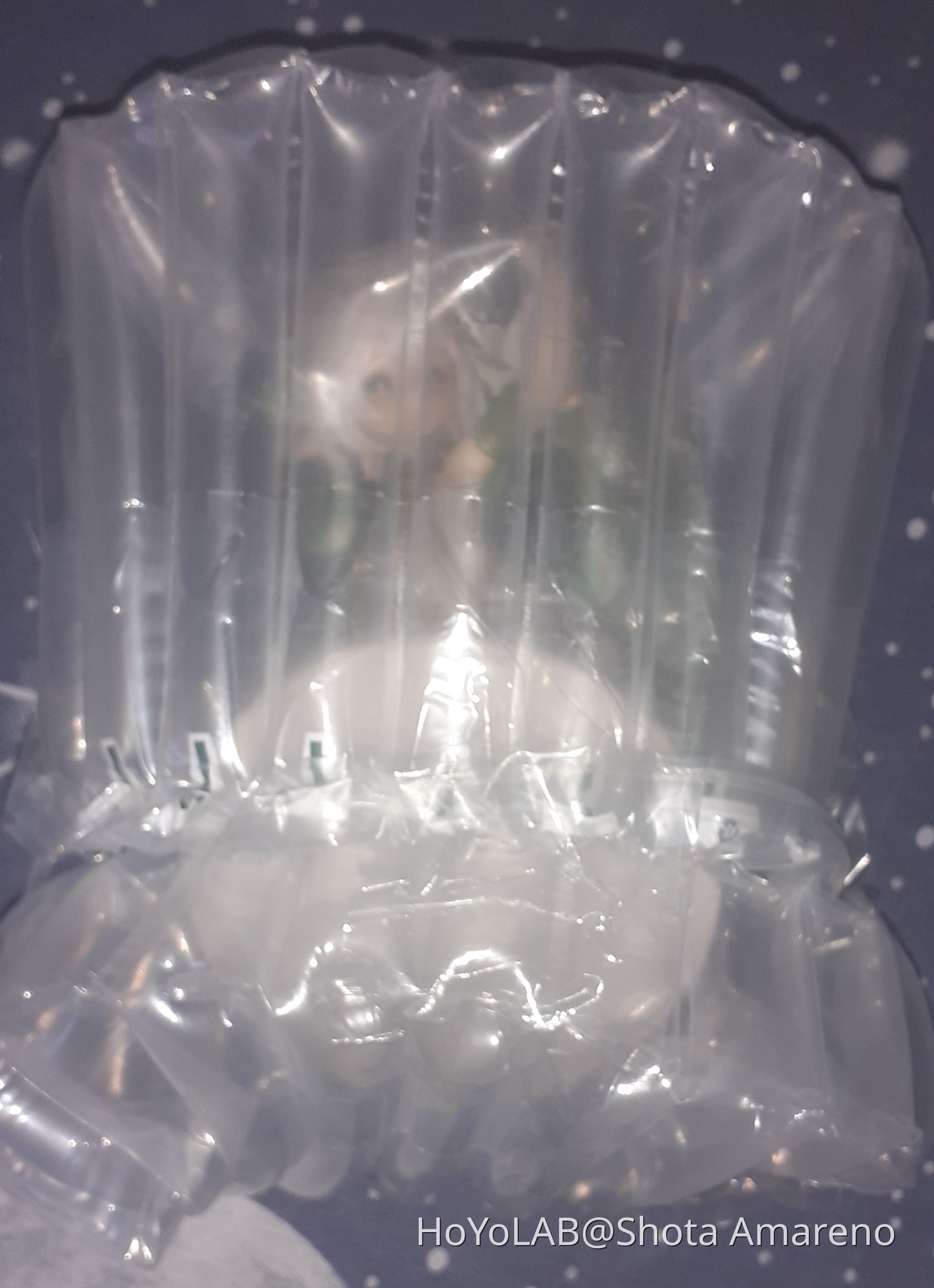 NAHida figure review Genshin Impact | HoYoLAB