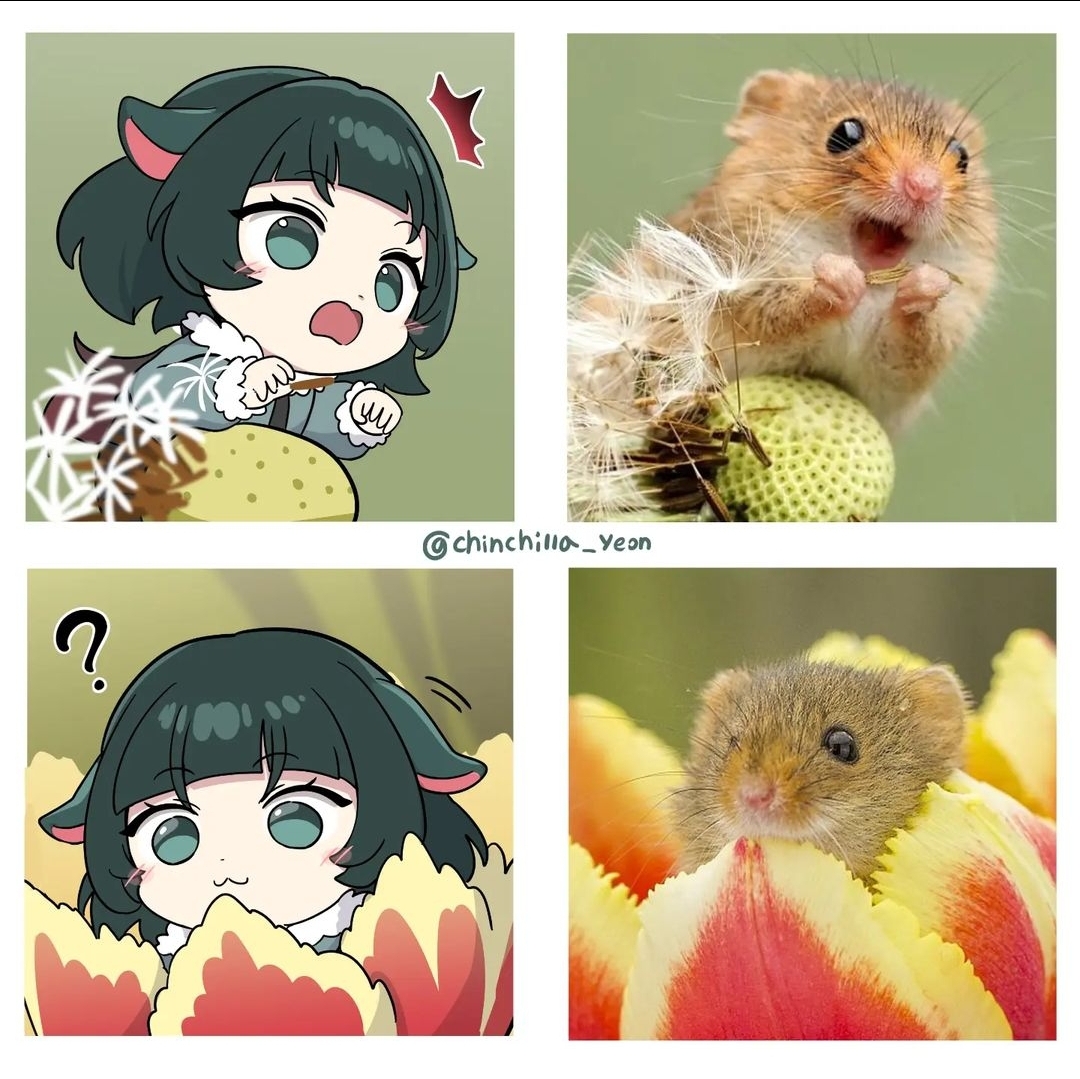 Jane the MOUSE Thiren Zenless Zone Zero | HoYoLAB