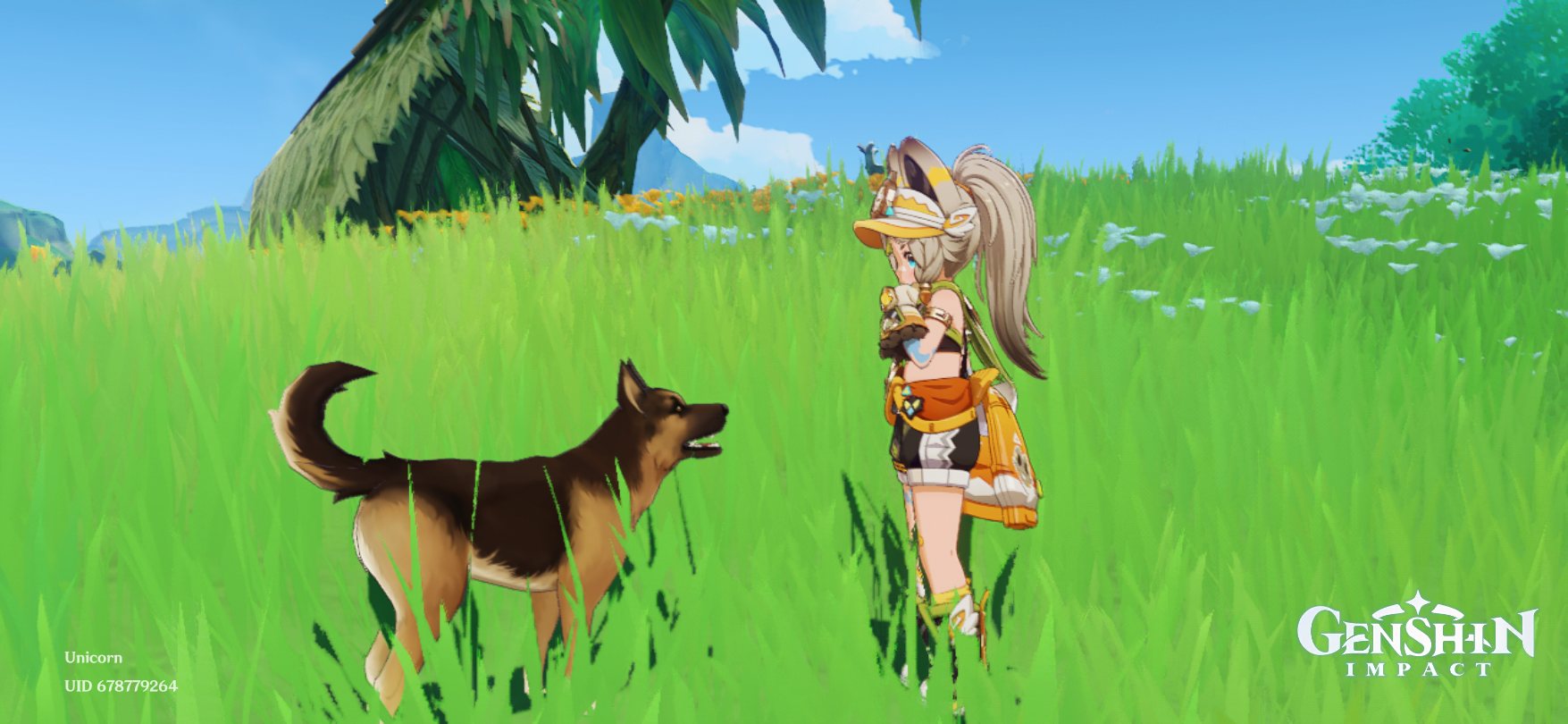 cute lil animals Genshin Impact | HoYoLAB