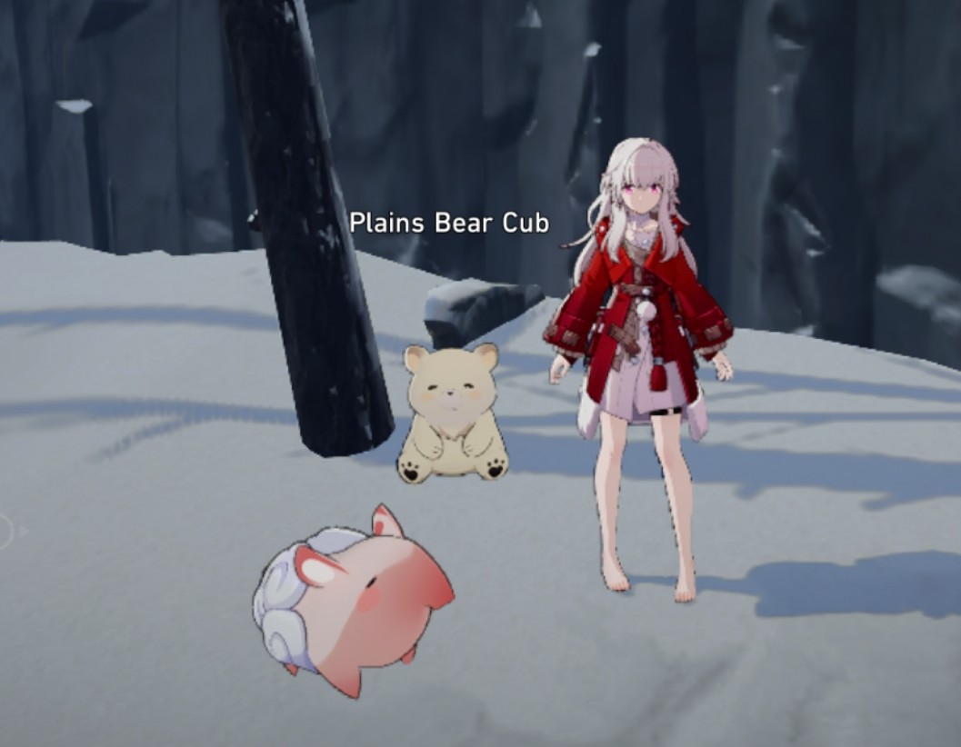 We need this White Fluff as Pet!!!! Honkai: Star Rail | HoYoLAB
