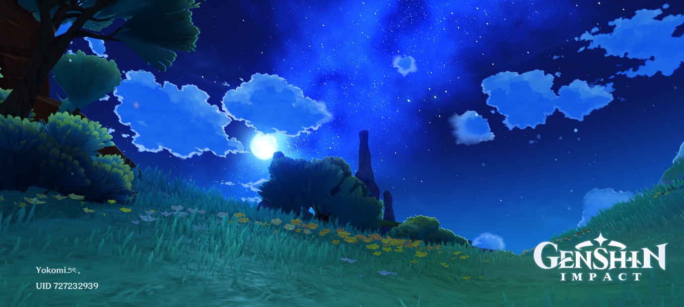 Beautiful Night Sky Genshin Impact | HoYoLAB