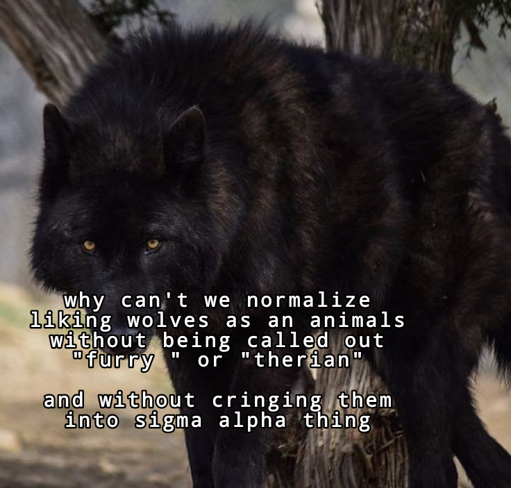 I really like wolves (maybe even hyperfiction on them now) but it's ...