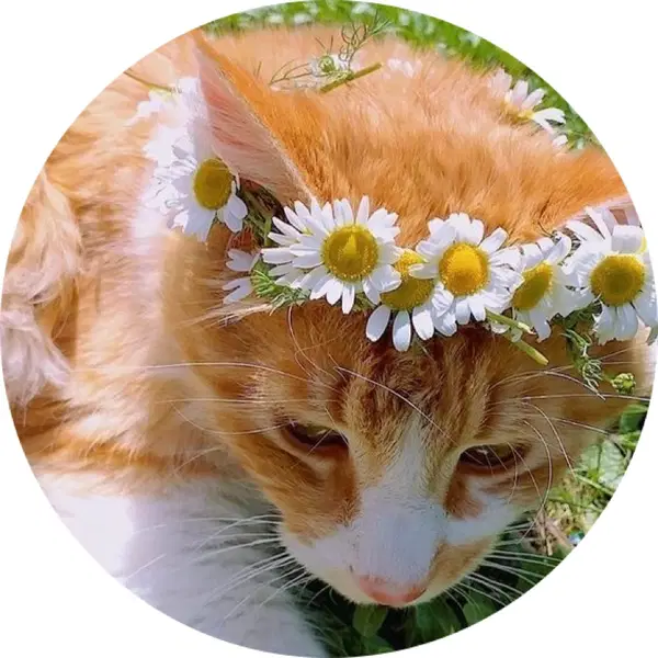 Made some silly goob drawings Genshin Impact | HoYoLAB