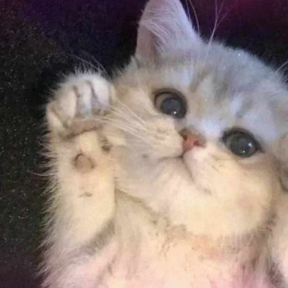 TOLONG JELASKAN APA ITU CAPTURING RADIANCE PLEASE!!🥲🥲😓😭 Genshin Impact ...