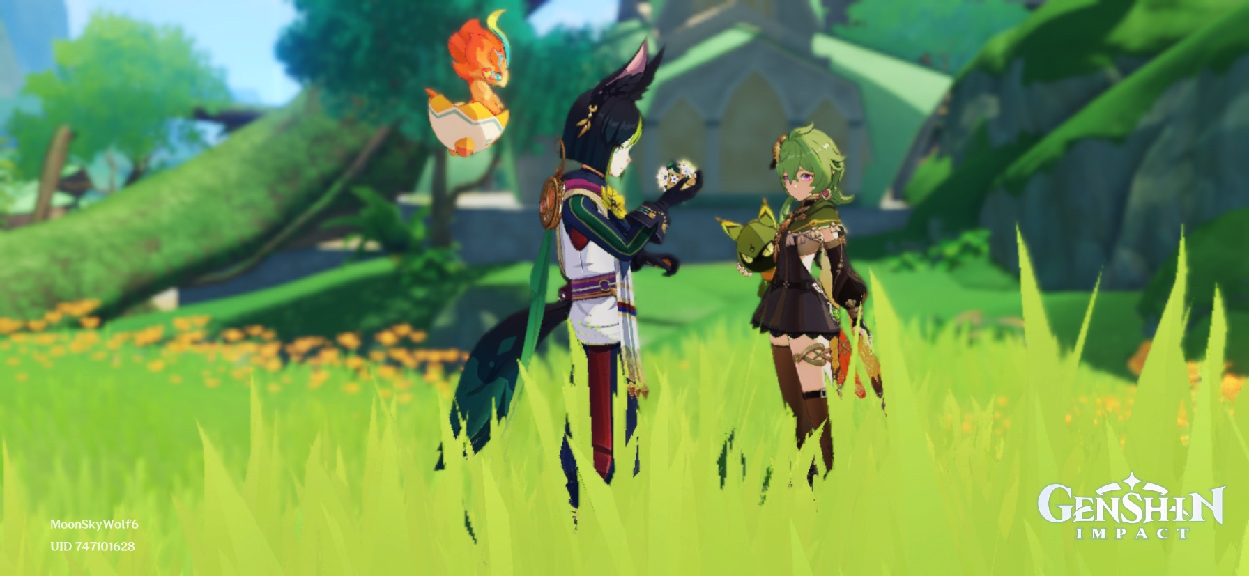 Mementos of Teyvat-PT.4- Sumeru Snapshots Genshin Impact | HoYoLAB
