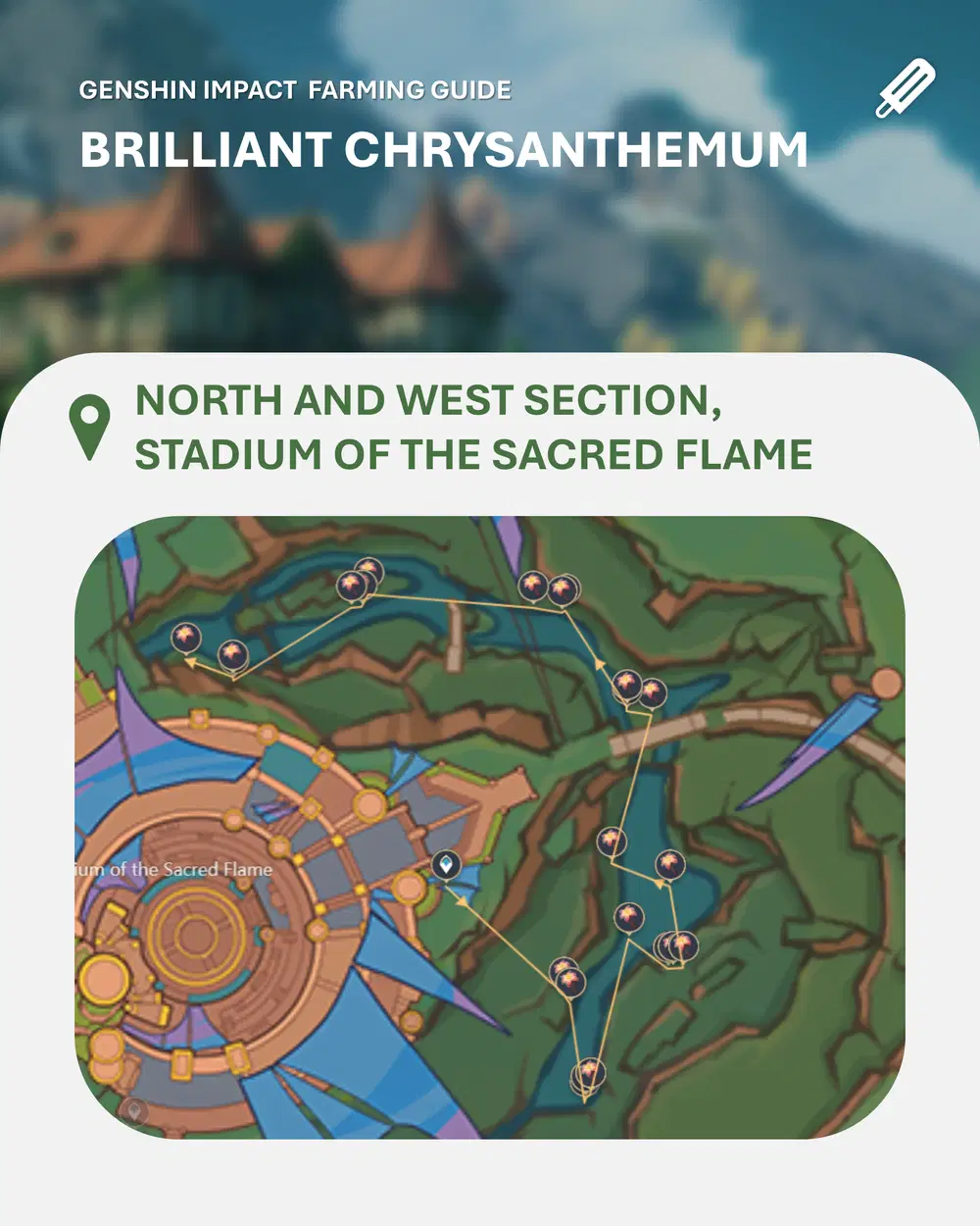 Brilliant Chyrsanthemum | Material Collection Guide [v5.1] Genshin ...