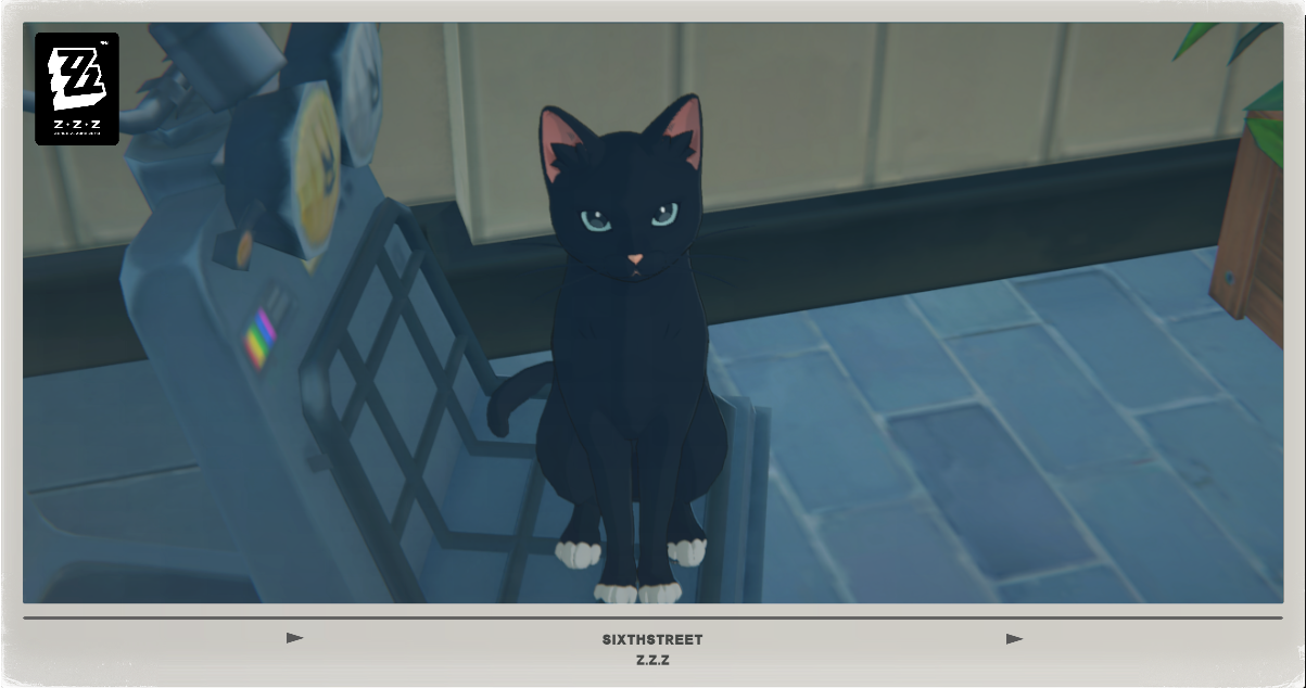 omg cat Zenless Zone Zero | HoYoLAB