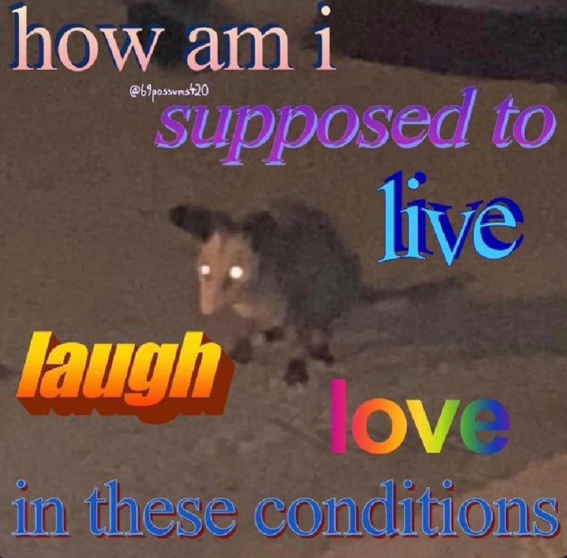 Day 215 of begging hoyo to sync the interactive map with ingame ...