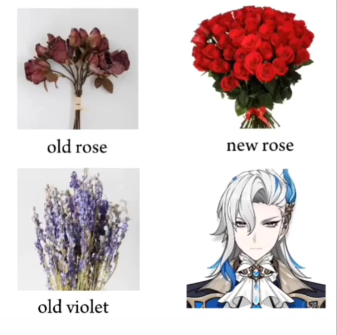 Memes I totally didn’t steal Genshin Impact | HoYoLAB