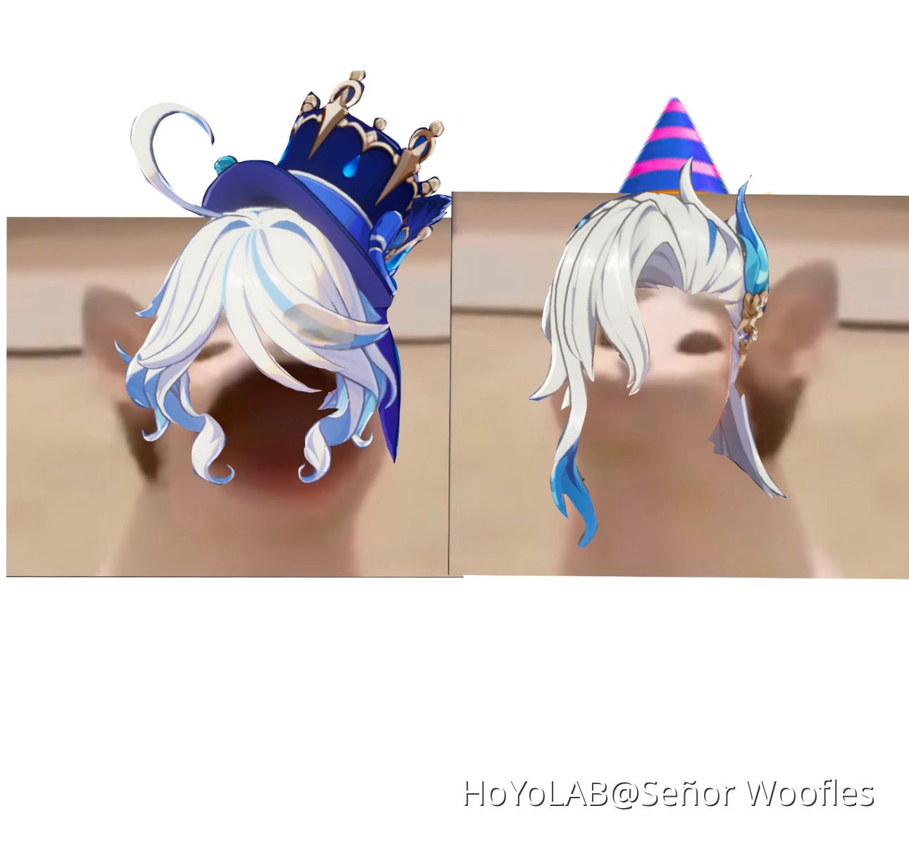 Happy birthday furina! Genshin Impact | HoYoLAB