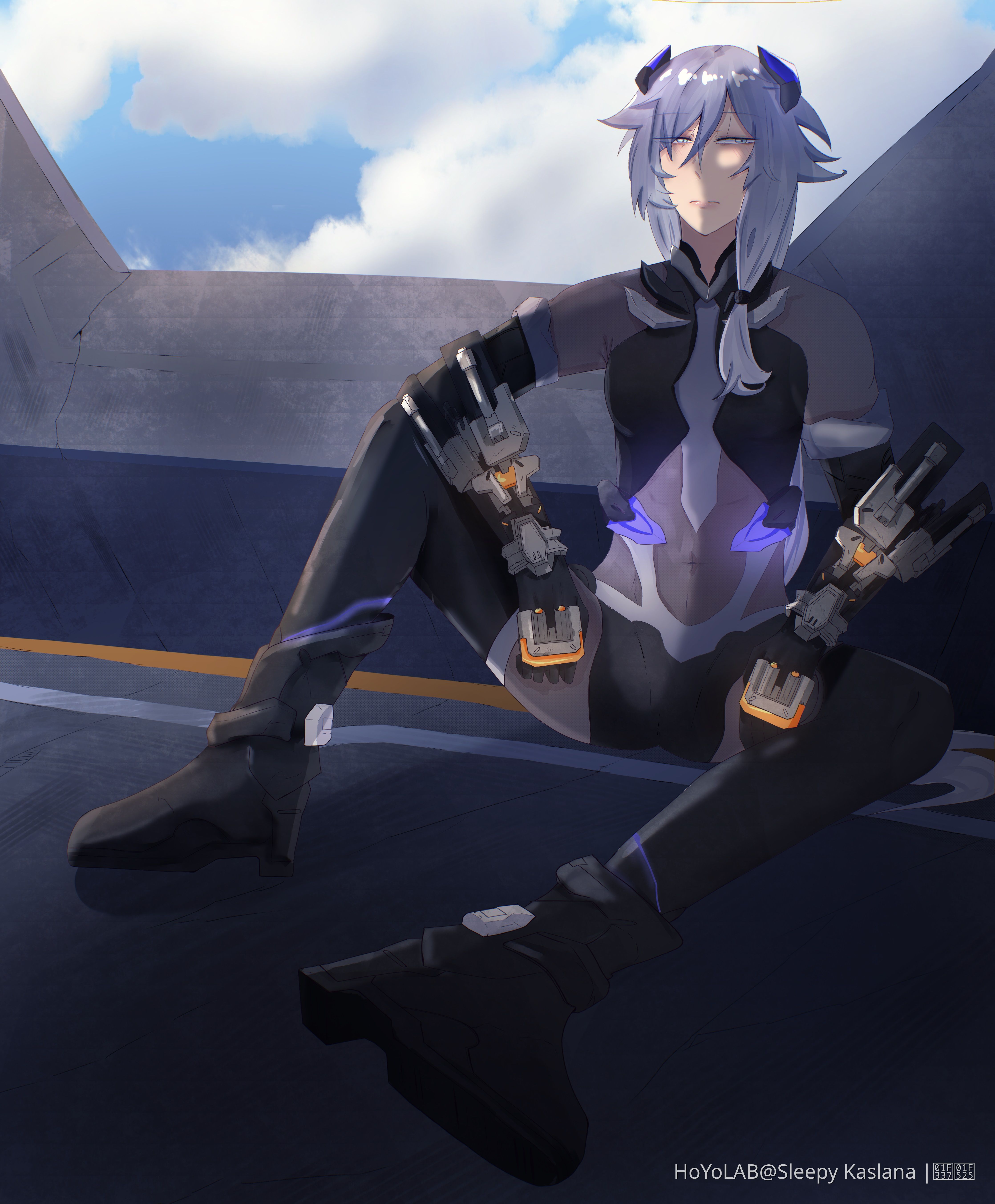 Shadow Knight Fu Hua Honkai Impact 3rd | HoYoLAB