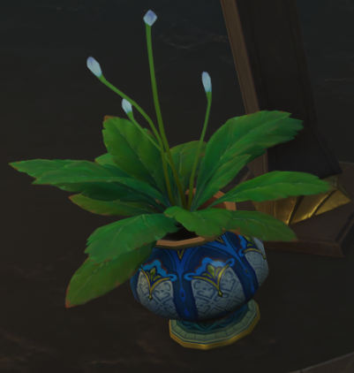 Bi-weekly Botany! Master Tighnari's Disciple Post Week 26: Peace Lily ...