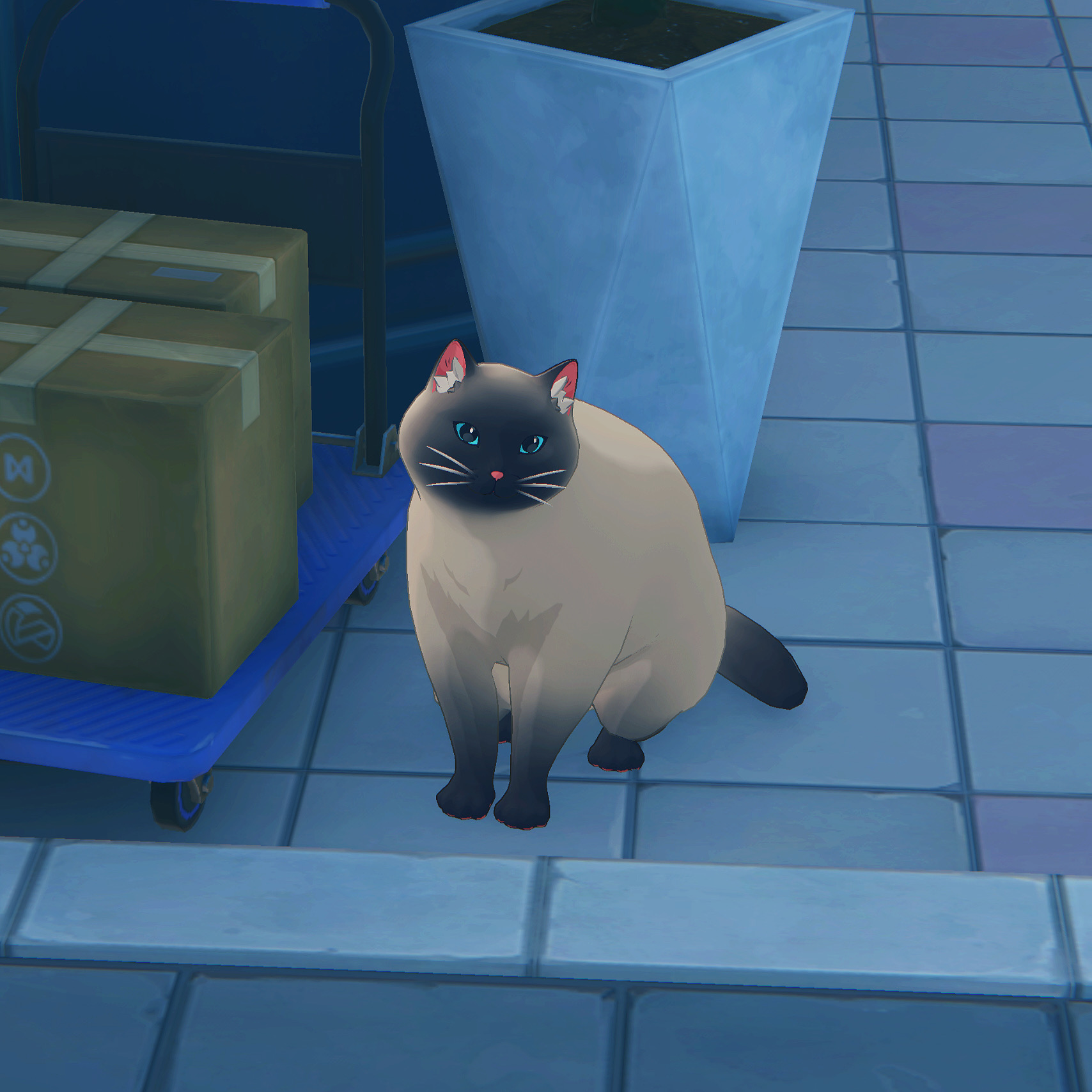 fat cat is so adorable 🥹 🤣 Zenless Zone Zero | HoYoLAB
