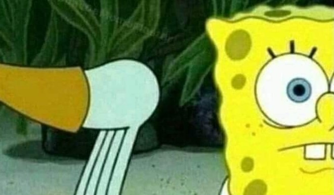 Squidward insult Spongebob | HoYoLAB