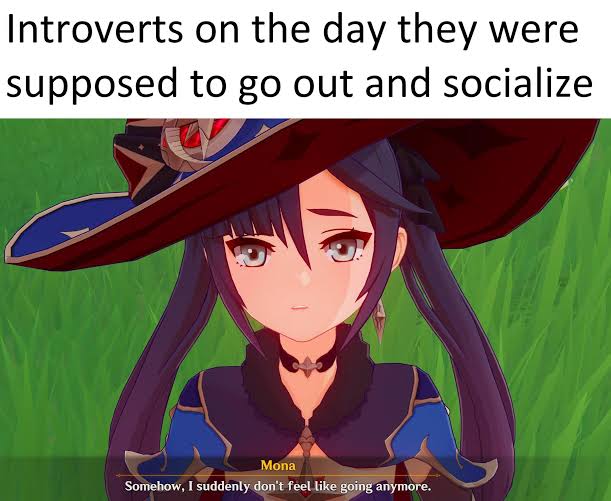 Mona Memes Collection Genshin Impact | HoYoLAB