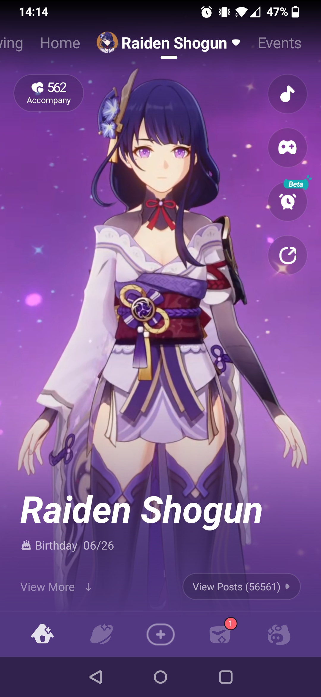 My Raiden companionship