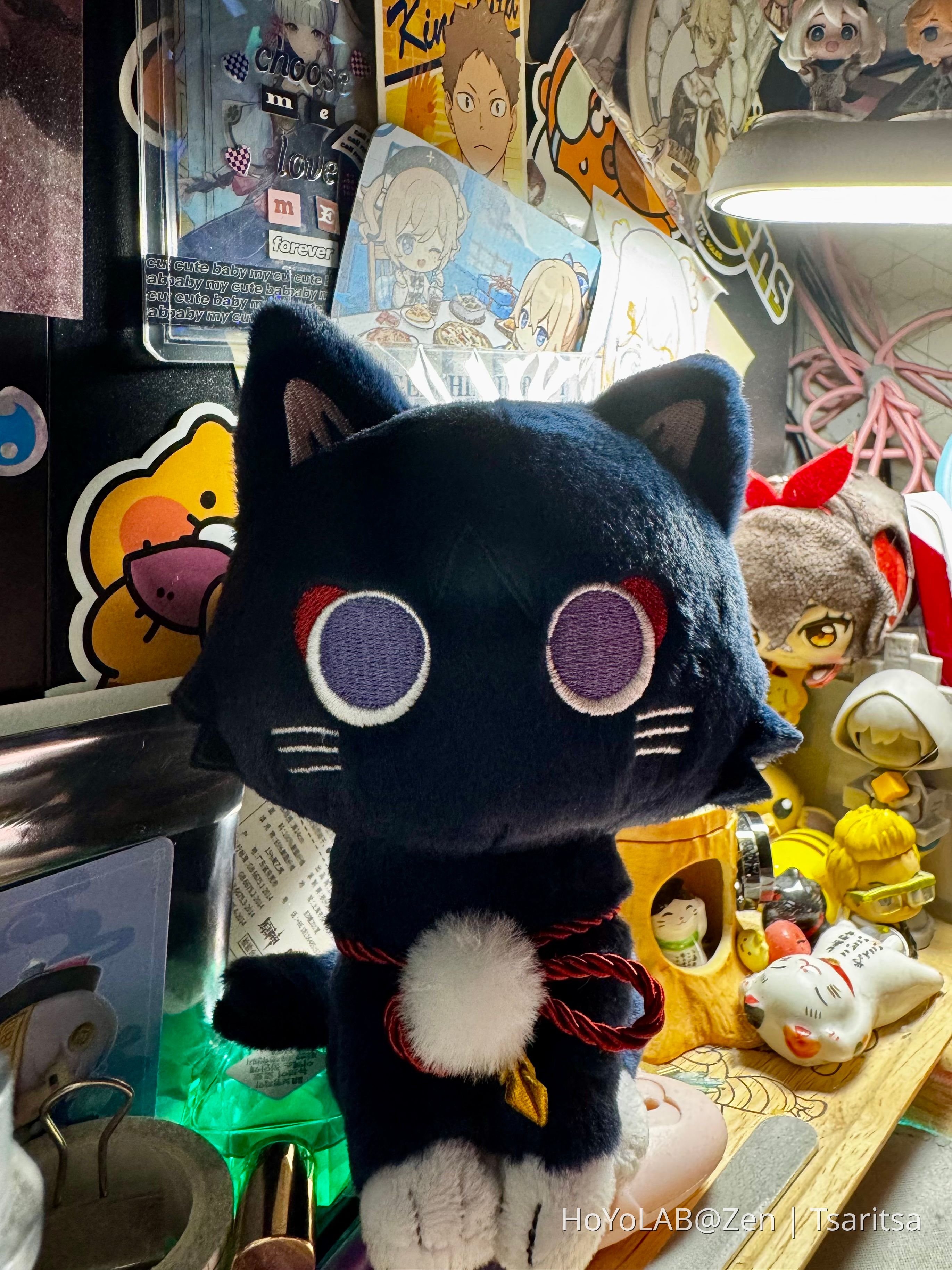 meow Genshin Impact | HoYoLAB