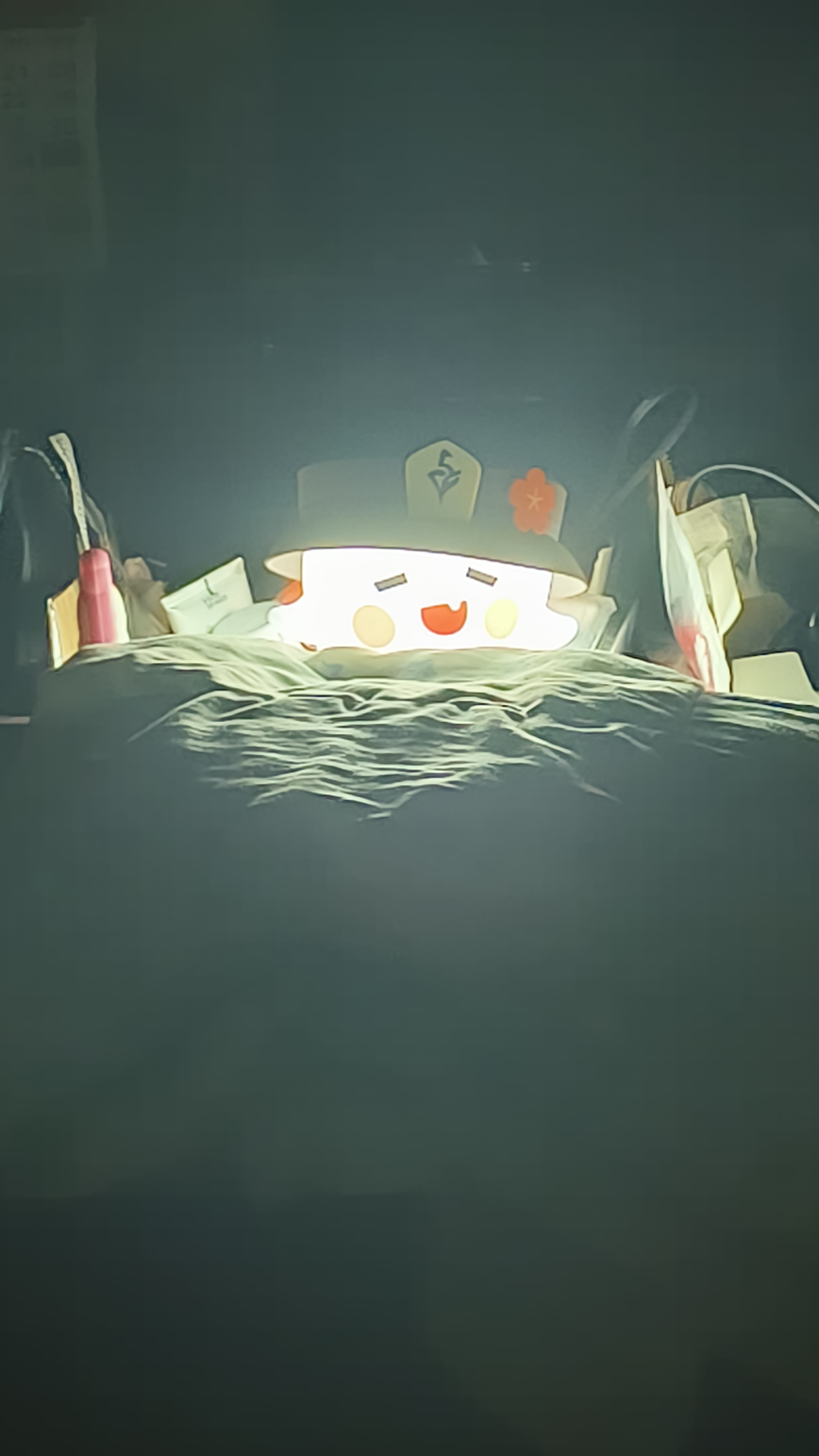 Bootao came out to play and cheer me up Genshin Impact | HoYoLAB