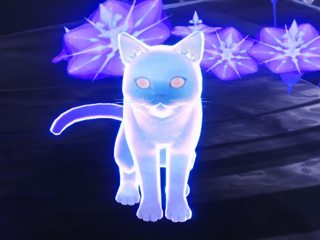 Glowing Cat from one of the Natlan world quests Genshin Impact | HoYoLAB