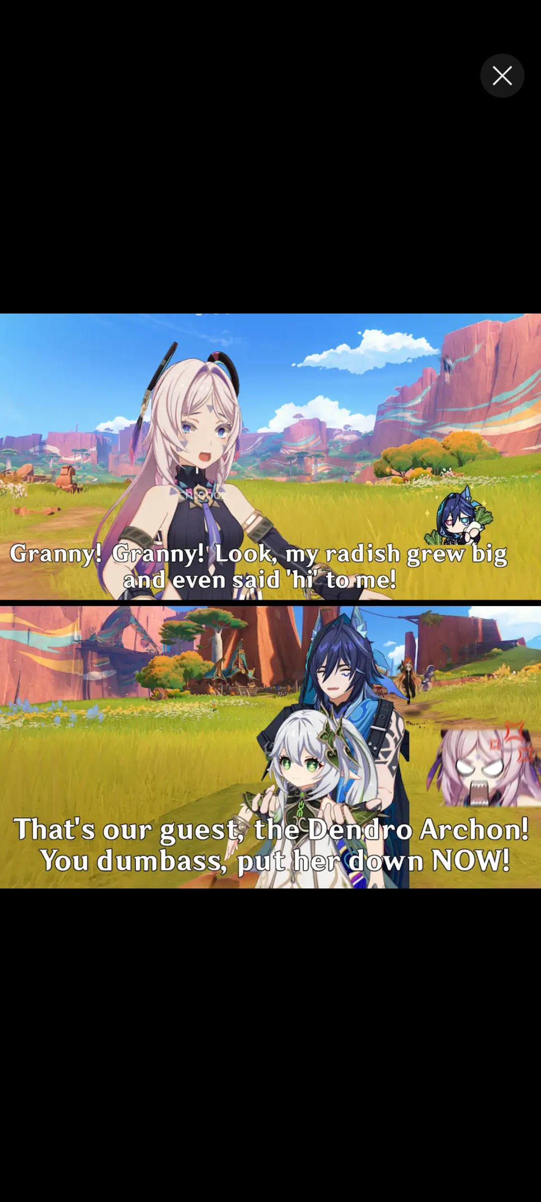 Raddish Meme Genshin Impact | HoYoLAB