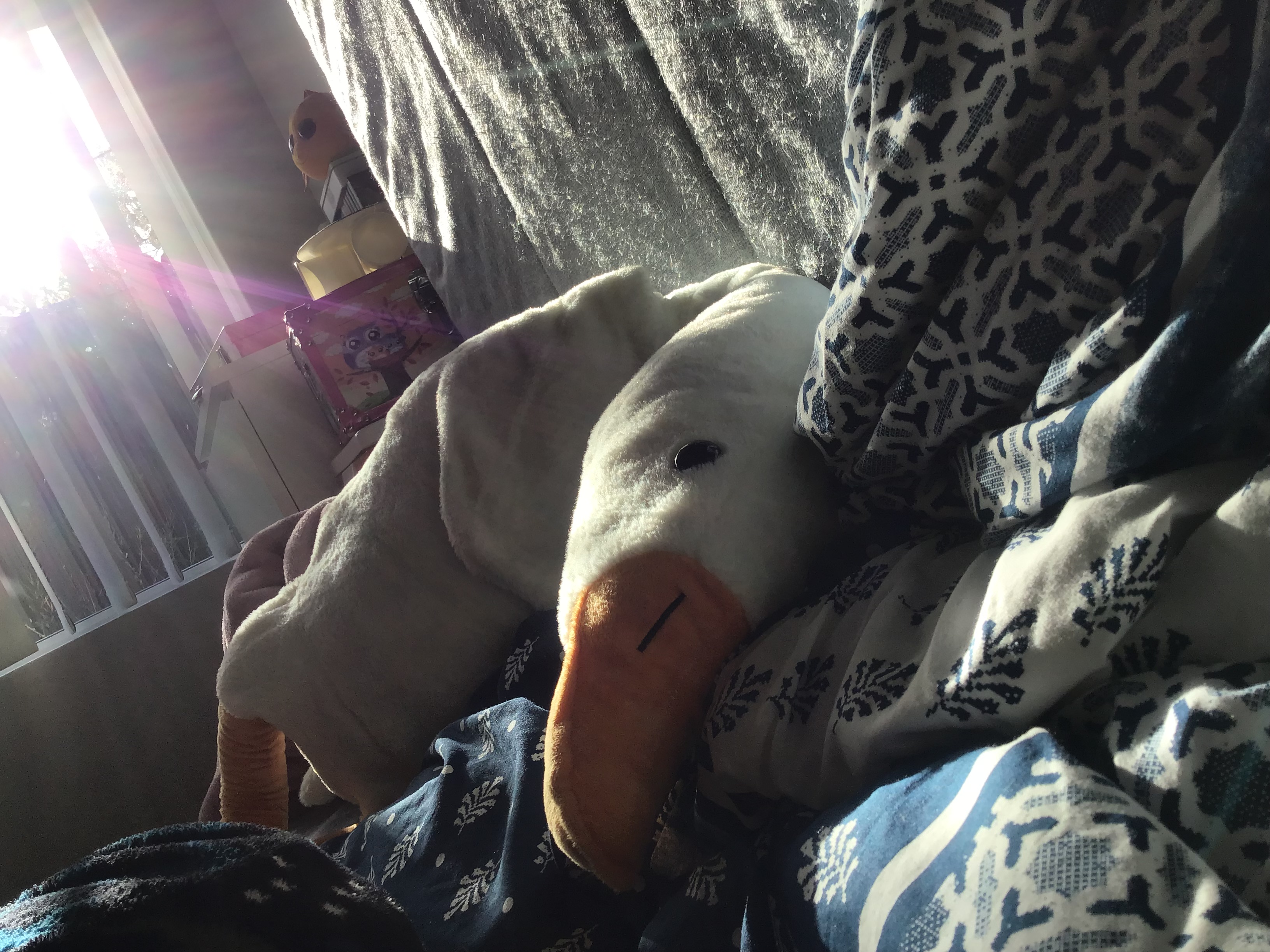 If your ever sad, just remember goose is always with you~ | HoYoLAB