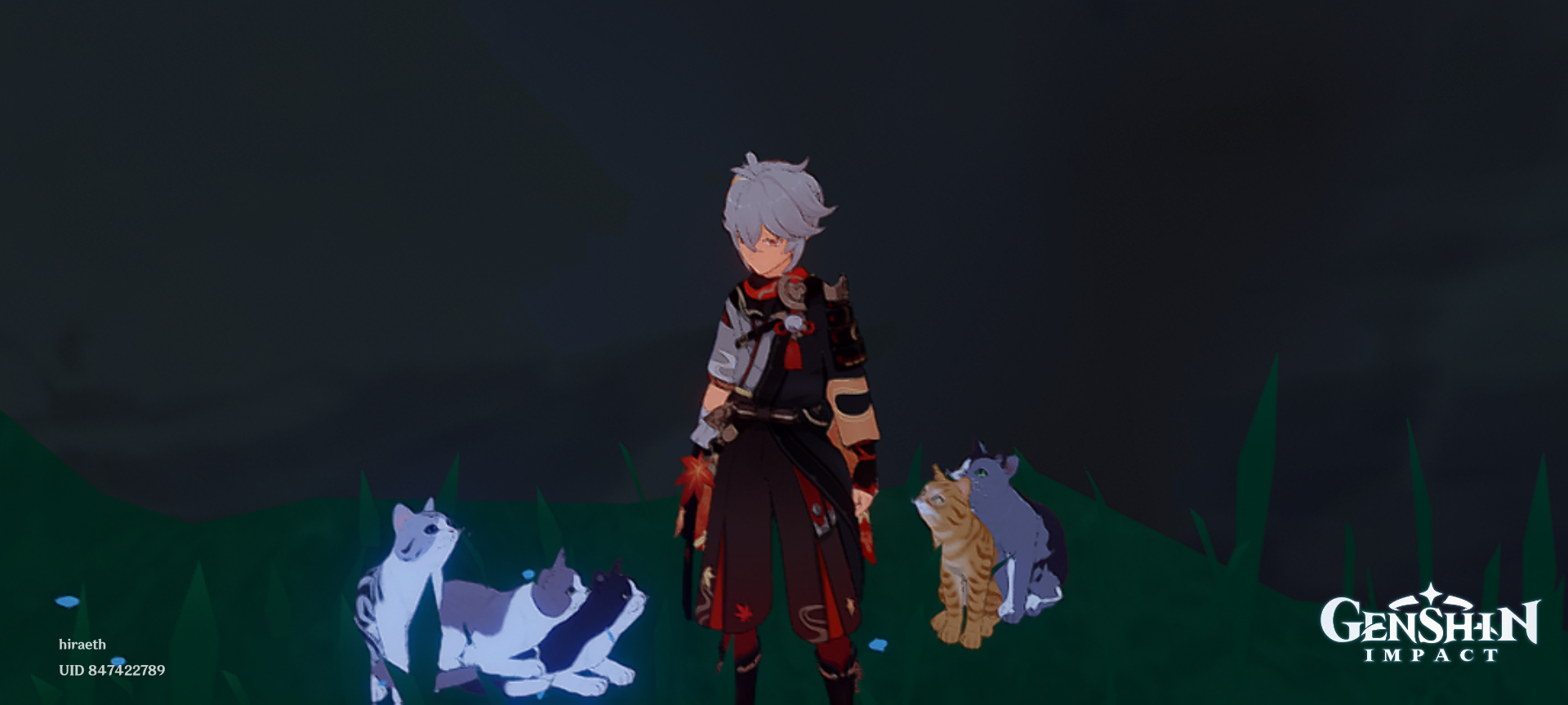 I broke the catsಥ⁠‿⁠ಥ Genshin Impact | HoYoLAB