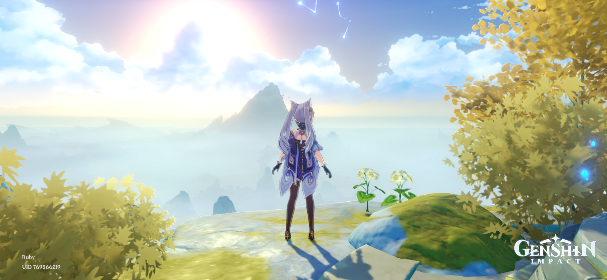 I lost my 50/50 Genshin Impact | HoYoLAB