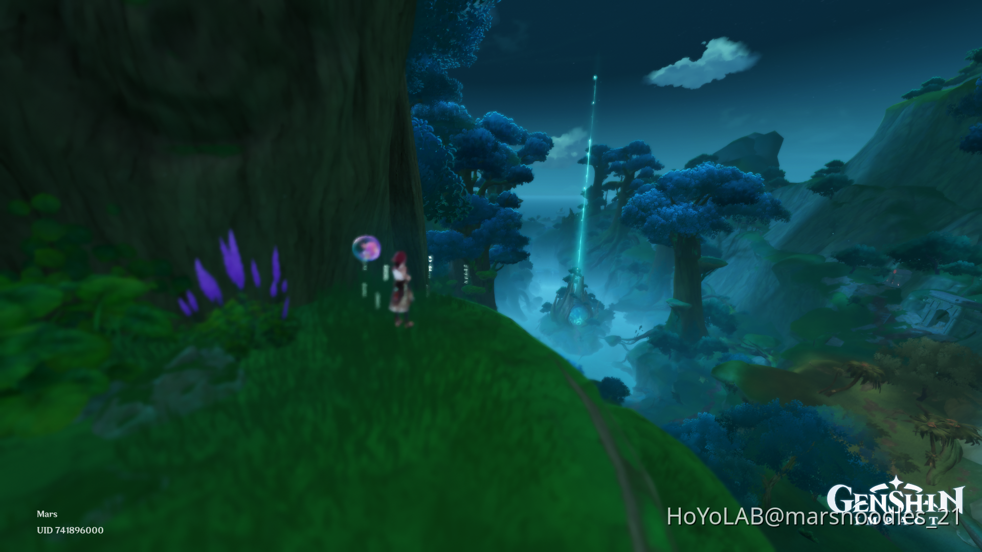 Somewhere in the night of Sumeru. Genshin Impact | HoYoLAB