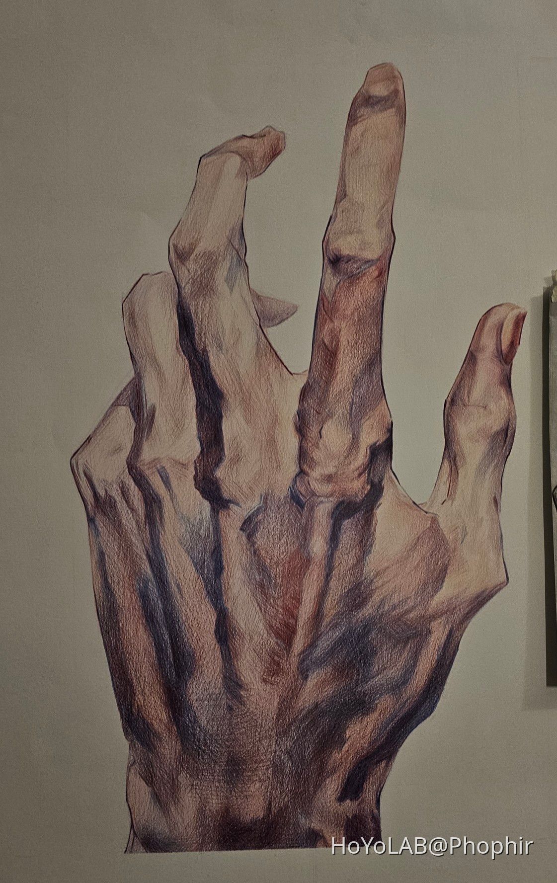 Hand practice | HoYoLAB