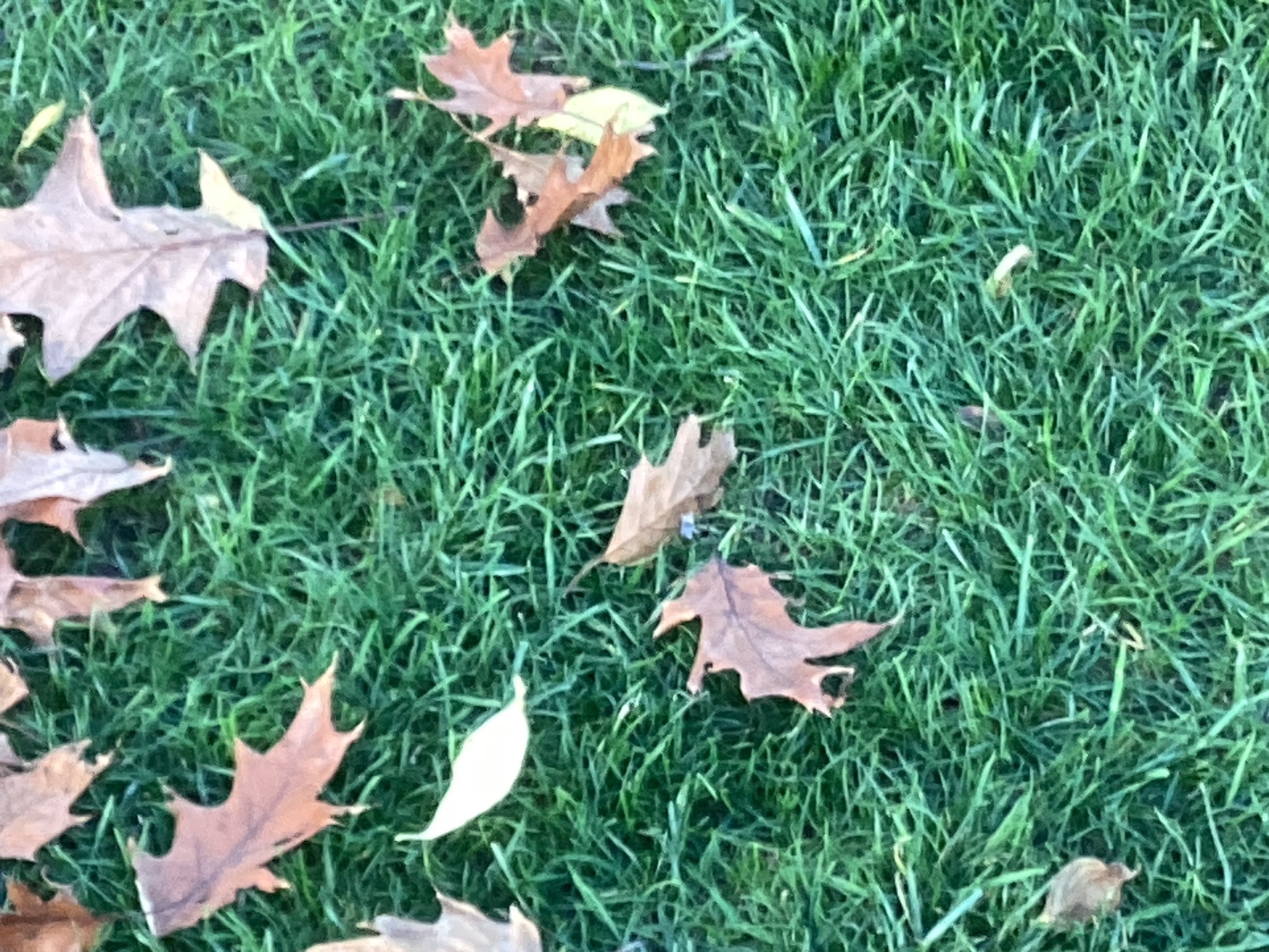 hey!(update) | HoYoLAB